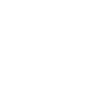 GS Power Partners | Independent Power Producer