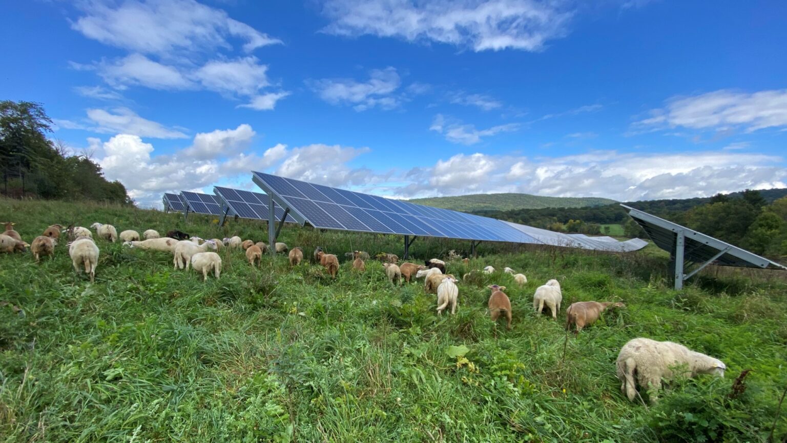 GS Power Partners | Property Owners